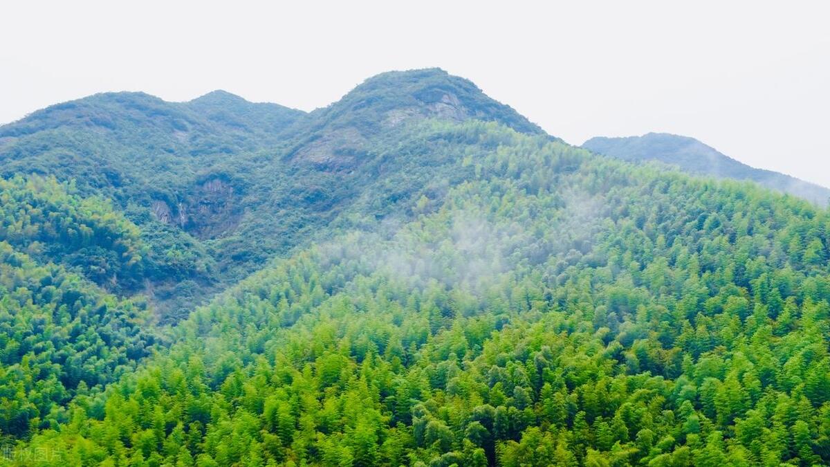 The top 10 must-see attractions in Anji are here, so hurry up and check ...