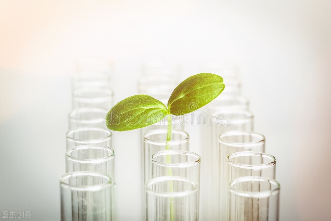 From 2022 to 2026, there is a large space for domestic replacement of ...