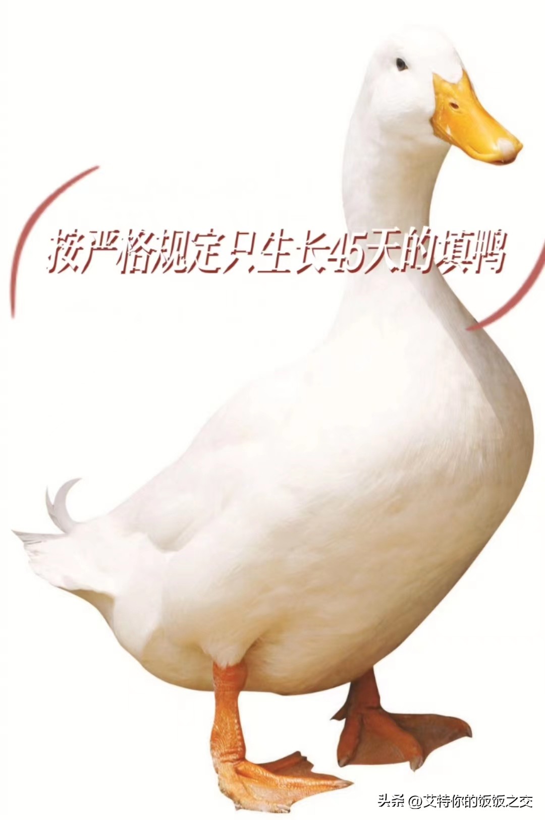 Explosive dishes that hit the taste buds directly: taste the delicious ...