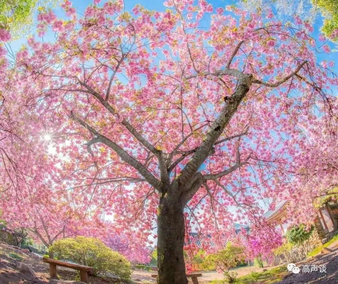 Discrimination and Analysis of the Difference Between Guarantee ...