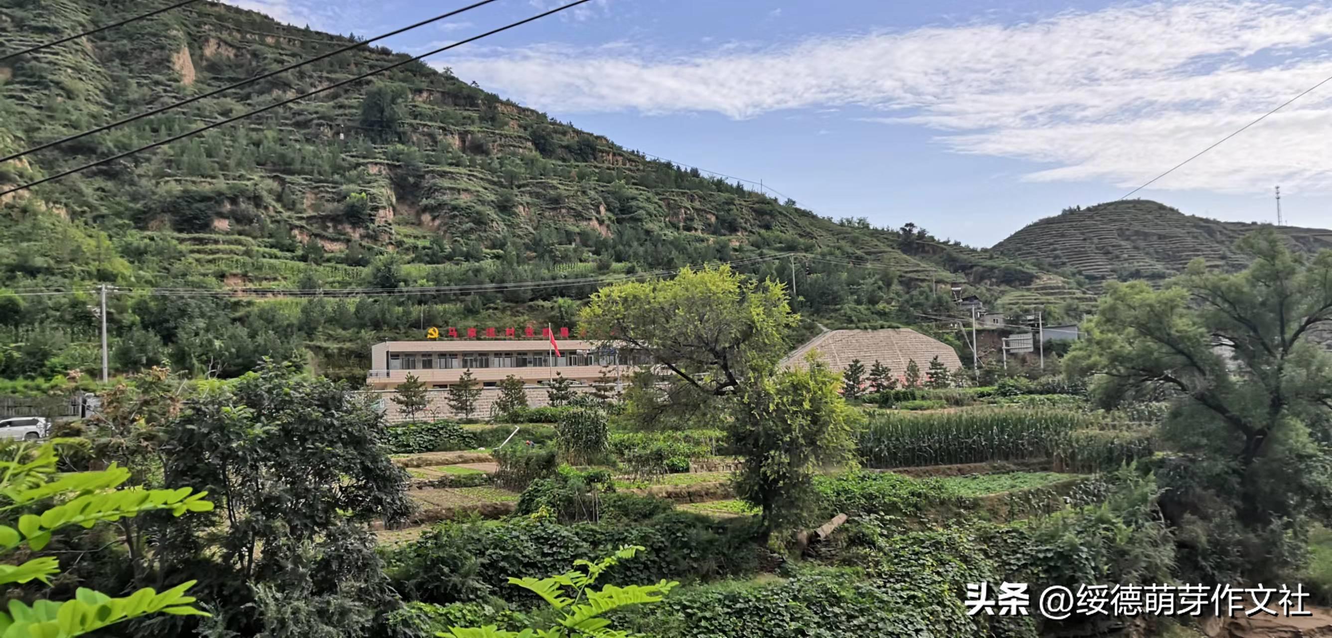 An Overview of the Zhao Family in Majiayan Village, Suide - iMedia