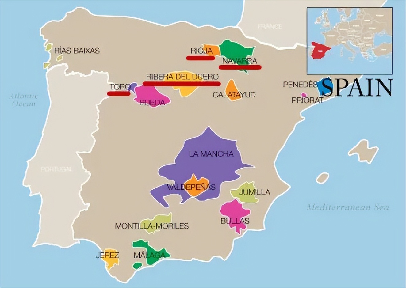 Understand Spain's National Treasure Grape - Tempranillo in a minute ...