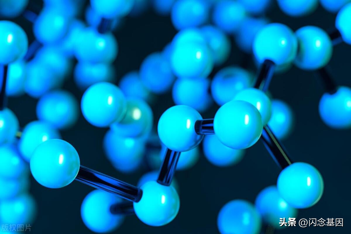 Web3D 引擎 Oasis Engine 入門指南 - 資訊咖