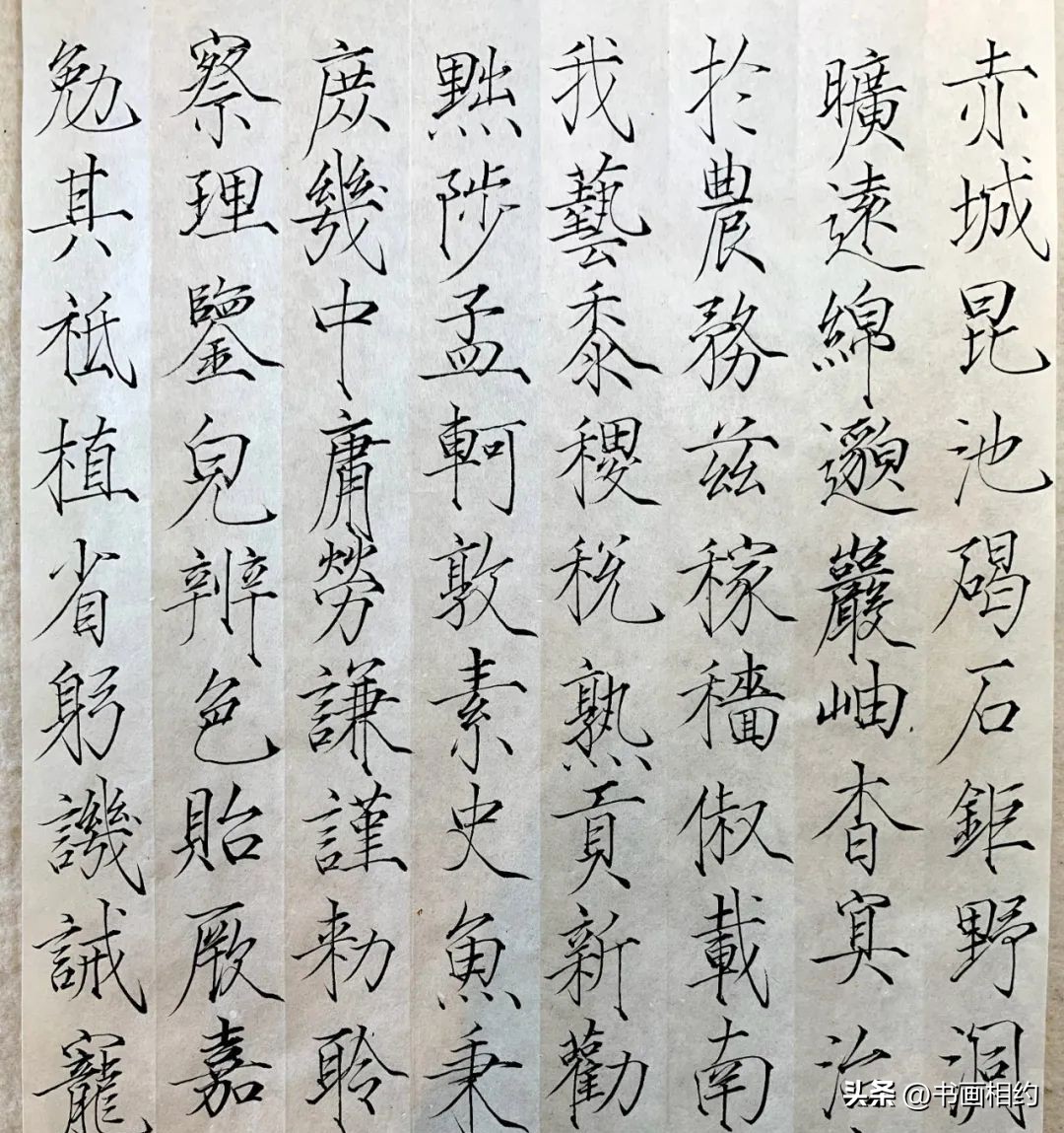 Actor Xia Yu's calligraphy is rooted in tradition and has excellent ...