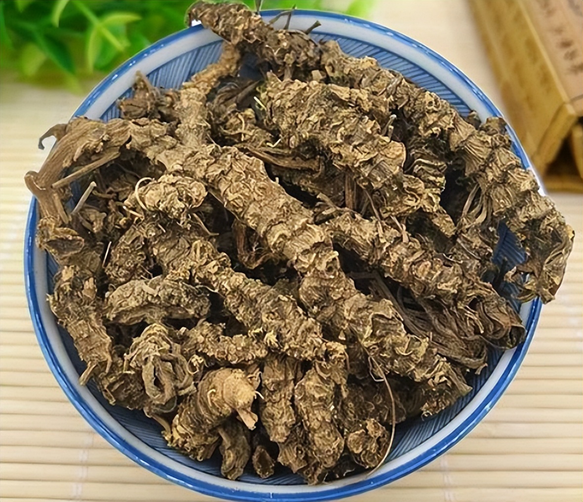 Take you to identify the spider incense - iNEWS