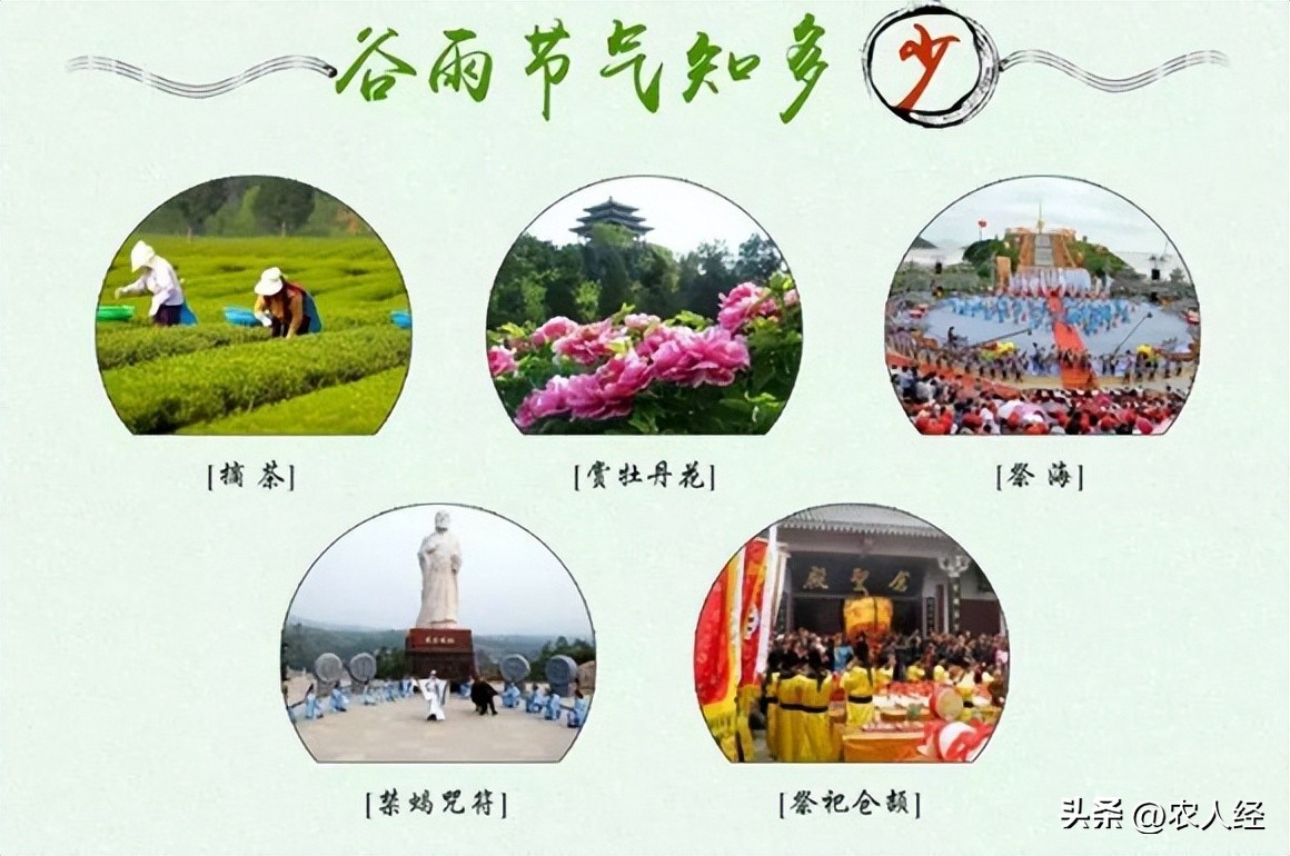 What is the origin of Grain Rain solar term? What customs and habits? I'll understand after ...