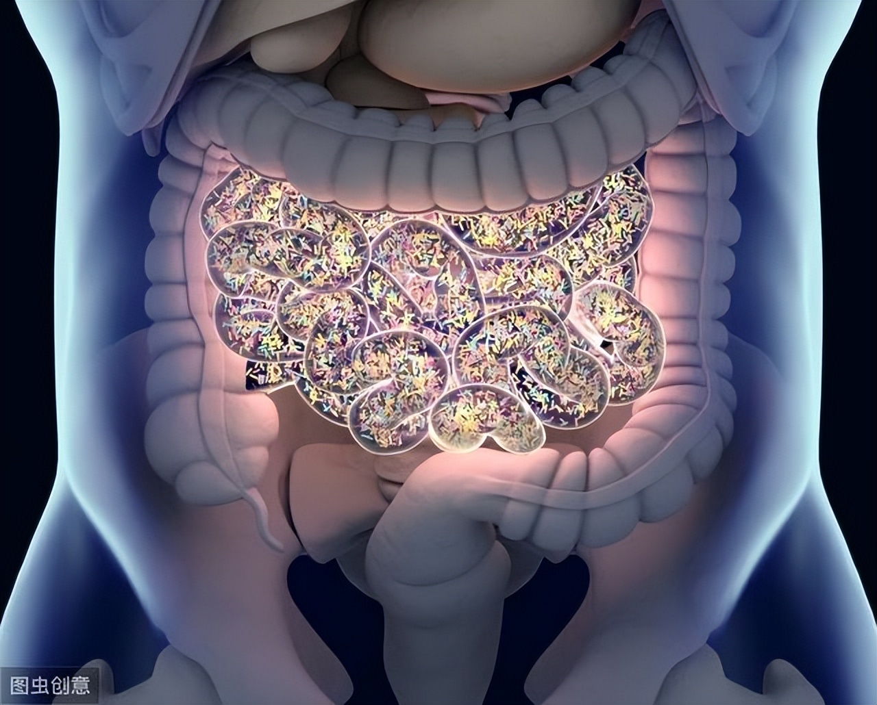 Gut mucus is closely related to health and may affect brain and nervous ...