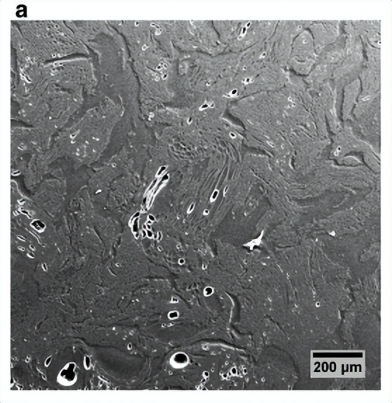 Pore structure distribution of cork pellet biochar using synchrotron X ...