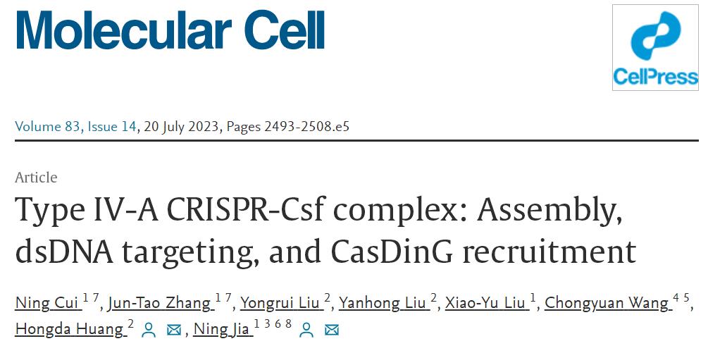 SUSTech reveals the mechanism behind Type IV-A CRISPR-Csf system, which is expected to be used ...
