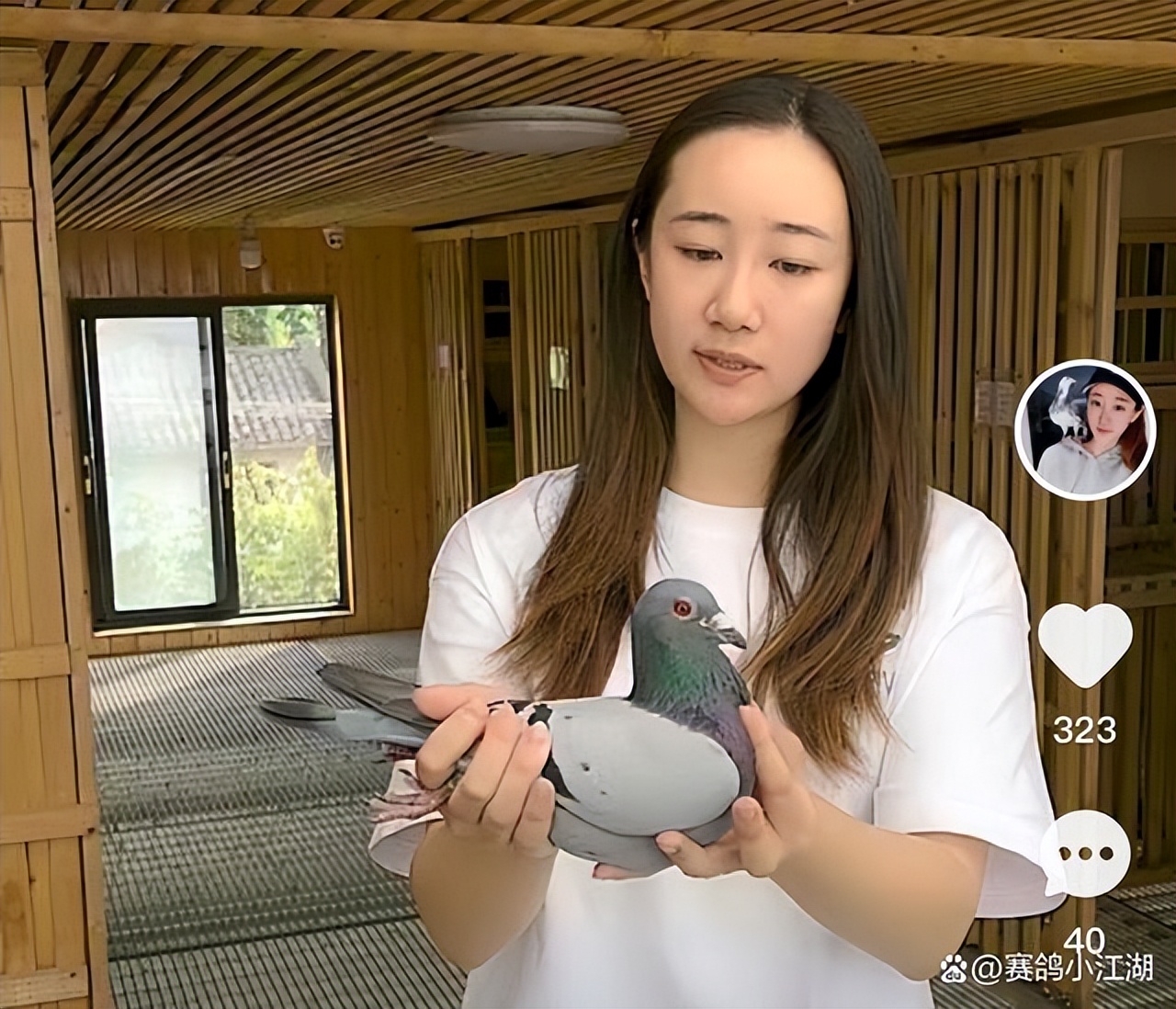 The family lineage of the runner-up in the four passes of Shuxiang is ...