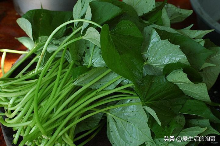 This dish is called the "Queen of Vegetables". It is a laxative, a ...