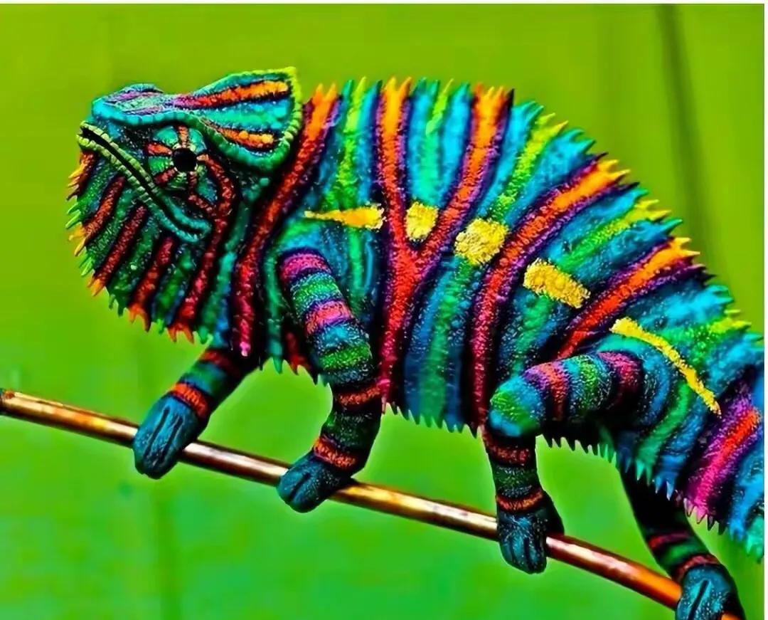 28 rare pictures to show you a different world - iNEWS