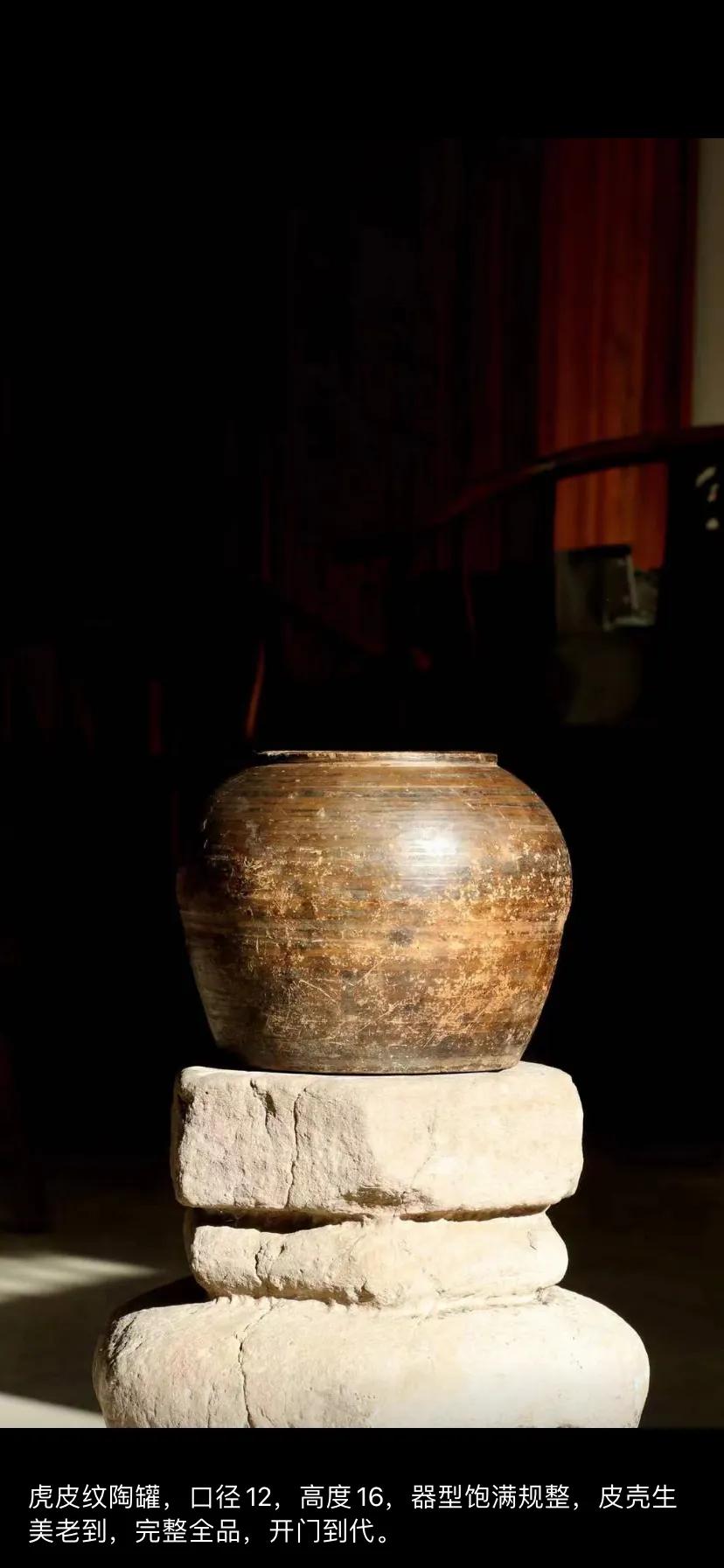 Tiger skin pattern clay pot - iMedia