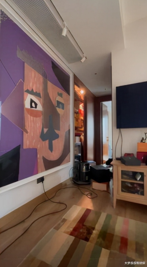 Shu Qi's rare unpacking inside the mansion!TV cabinet was surprised to ...