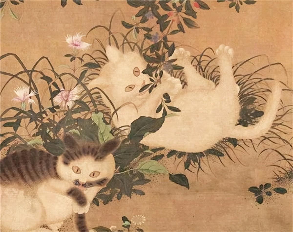 Why do Chinese people not eat cat meat? Li Shizhen has already told the ...