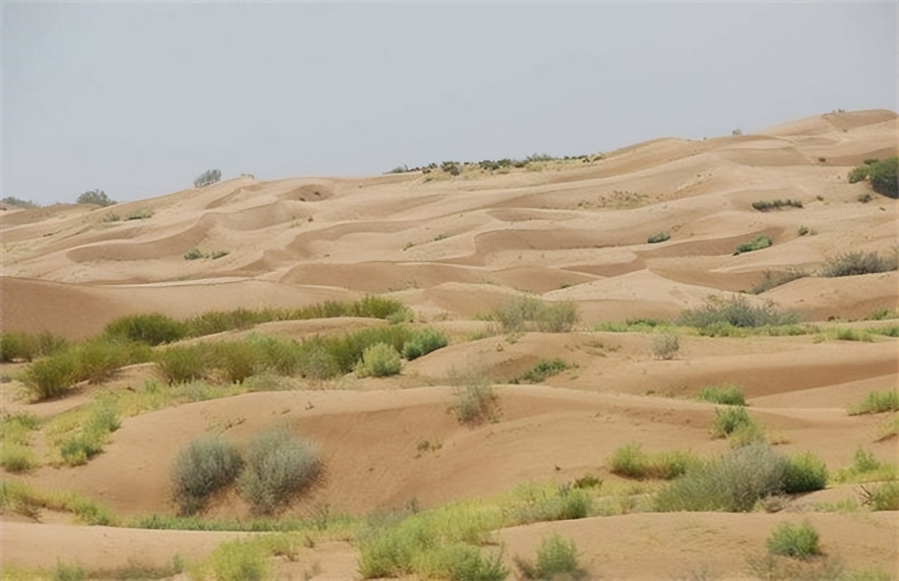 The Mu Us Desert, once barren and barren for hundreds of years, is now ...
