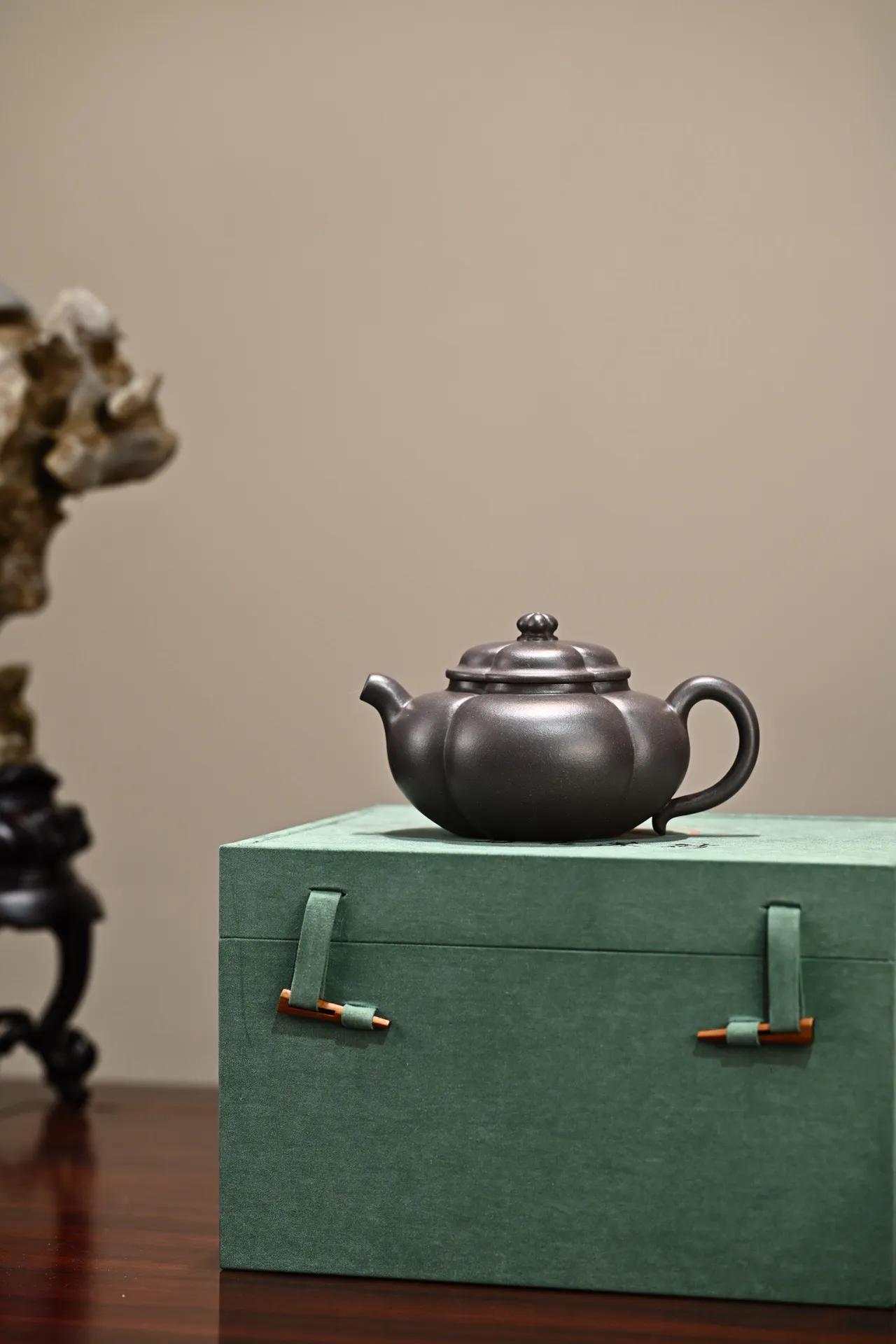 Acacia, Dabin Ruyi, Jade Wall, Brocade Begonia, Lotus Seed Pot - iNEWS