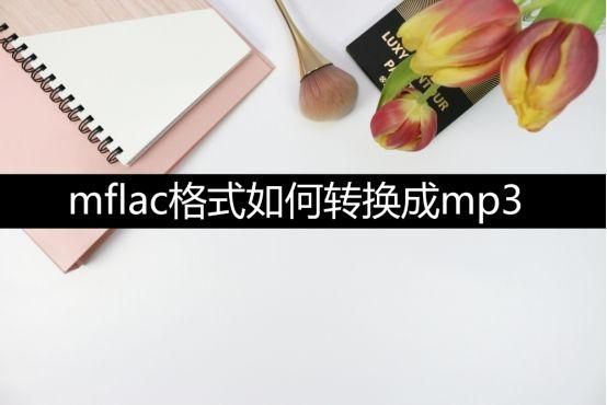 How to convert mflac format to mp3? Share 2 coups - iMedia