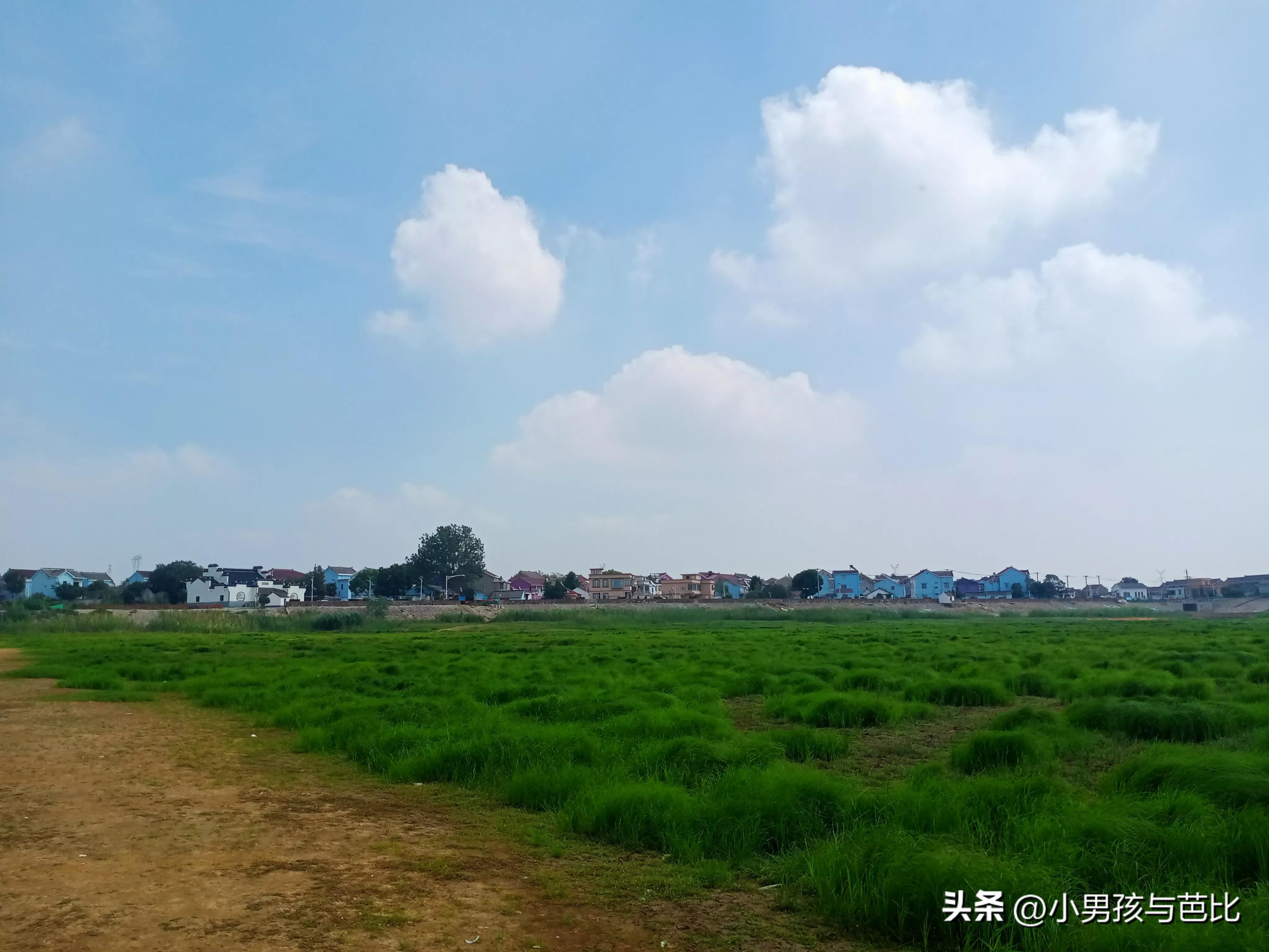 The sea of grass at Shijiu Lake - iNEWS