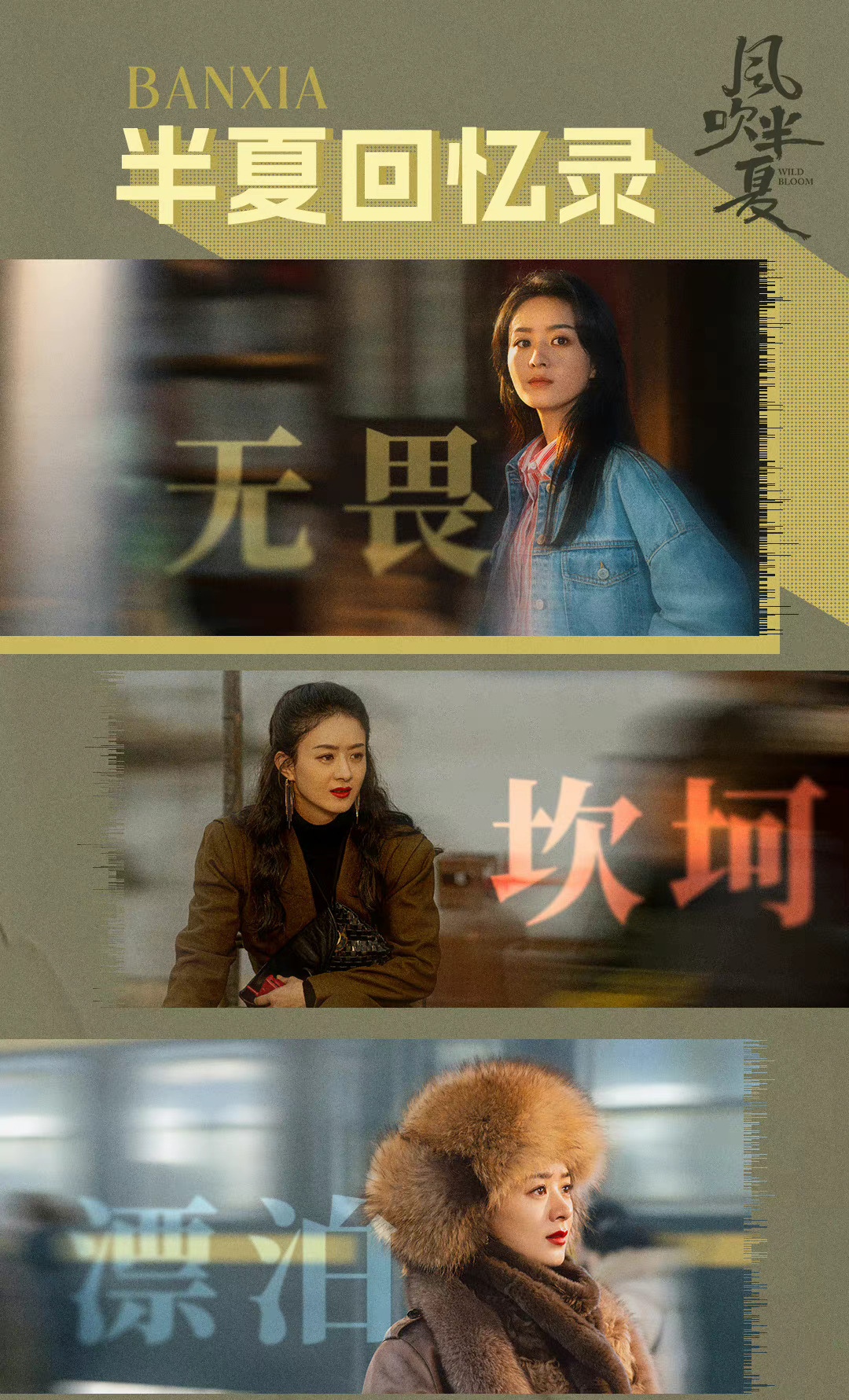 sharp![Wind Blowing Pinellia] Zhao Liying is so worth it for winning the annual title of Kuyun ...