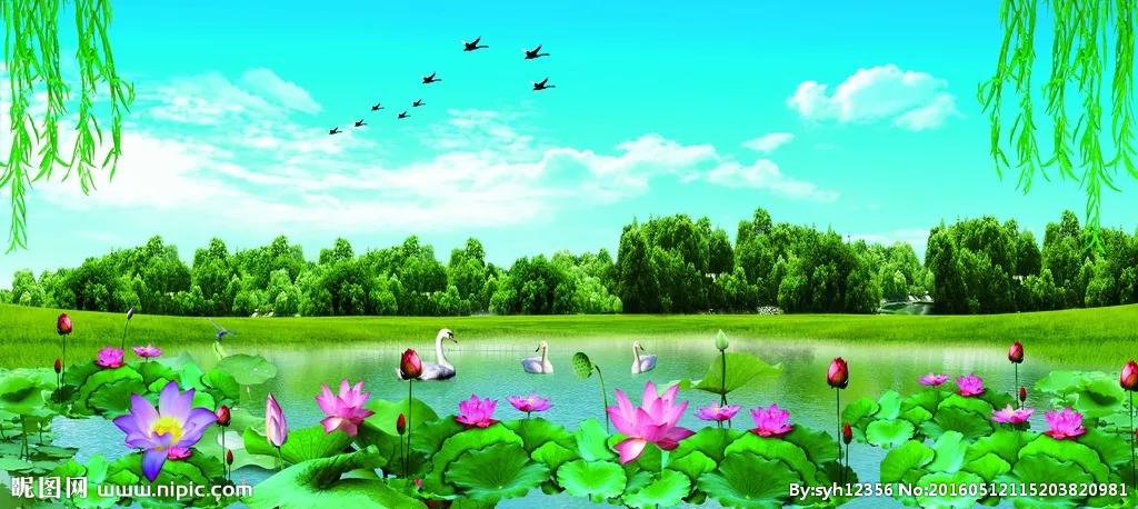 Quatrain: Xia Luo Lotus Pond - iNEWS