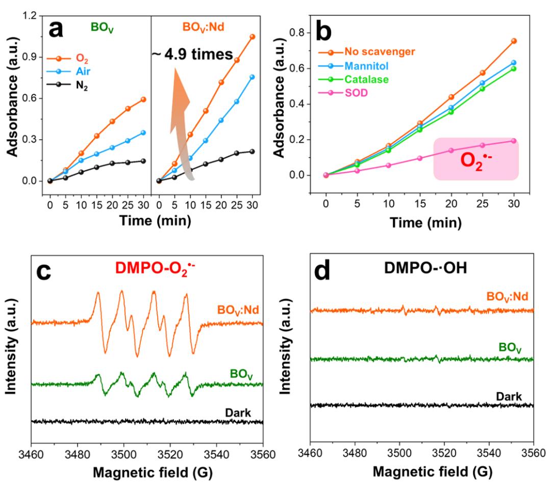 Near-infrared light-driven efficient activation of unsaturated Nd-Bi ...