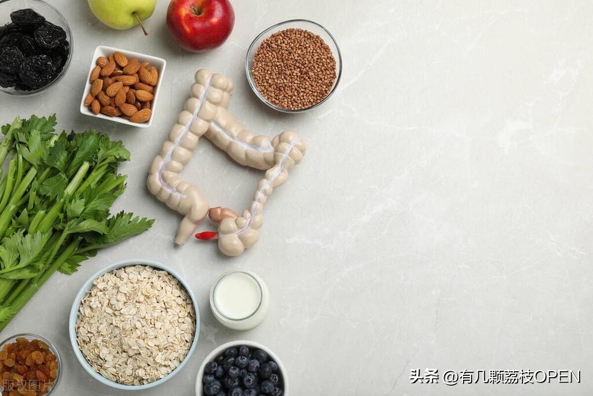 Types of Probiotics and Their Effects on Gut Health - iNEWS