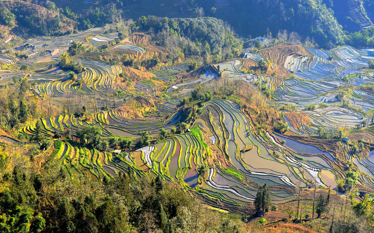 Explore the "Five Most Beautiful Terraced Fields in China"!Encounter ...