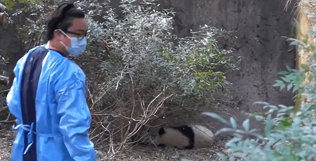 Splashing Water on Panda Fu Wan 3 The identity of the tourists has not ...