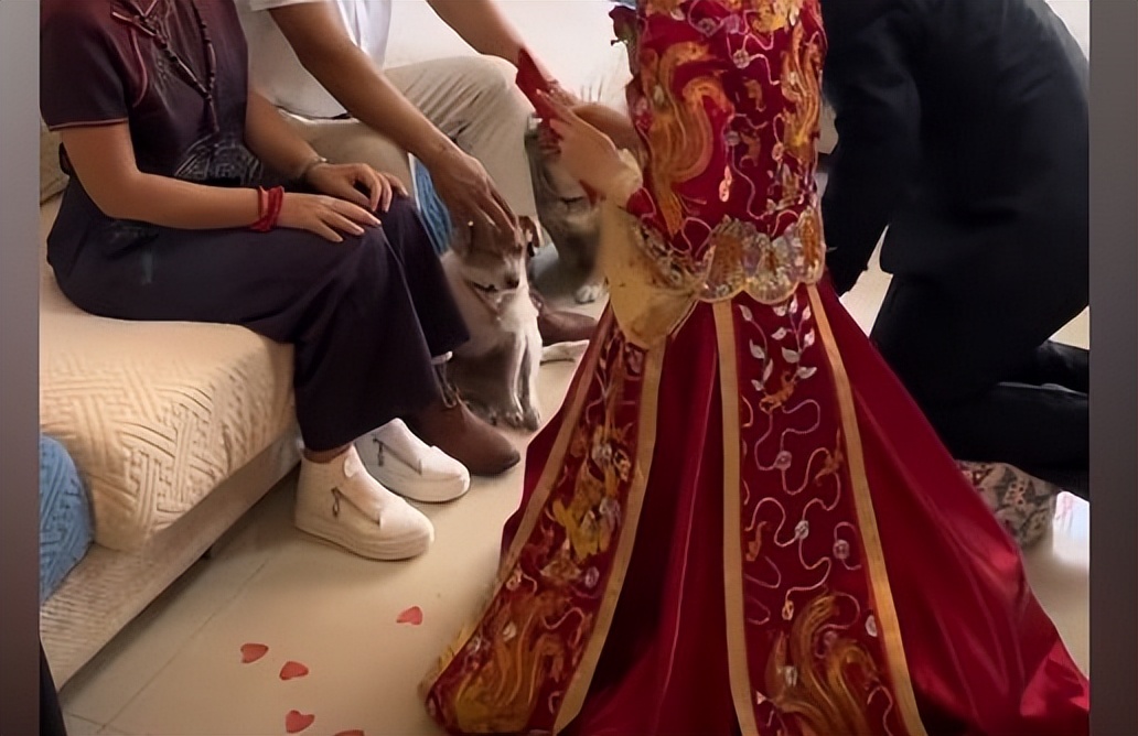 The newlyweds kowtow three times to their parents, and the dog "sit up ...