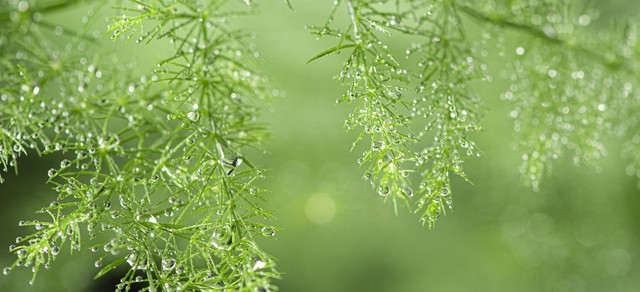 She disappeared - what did you see? - iNEWS