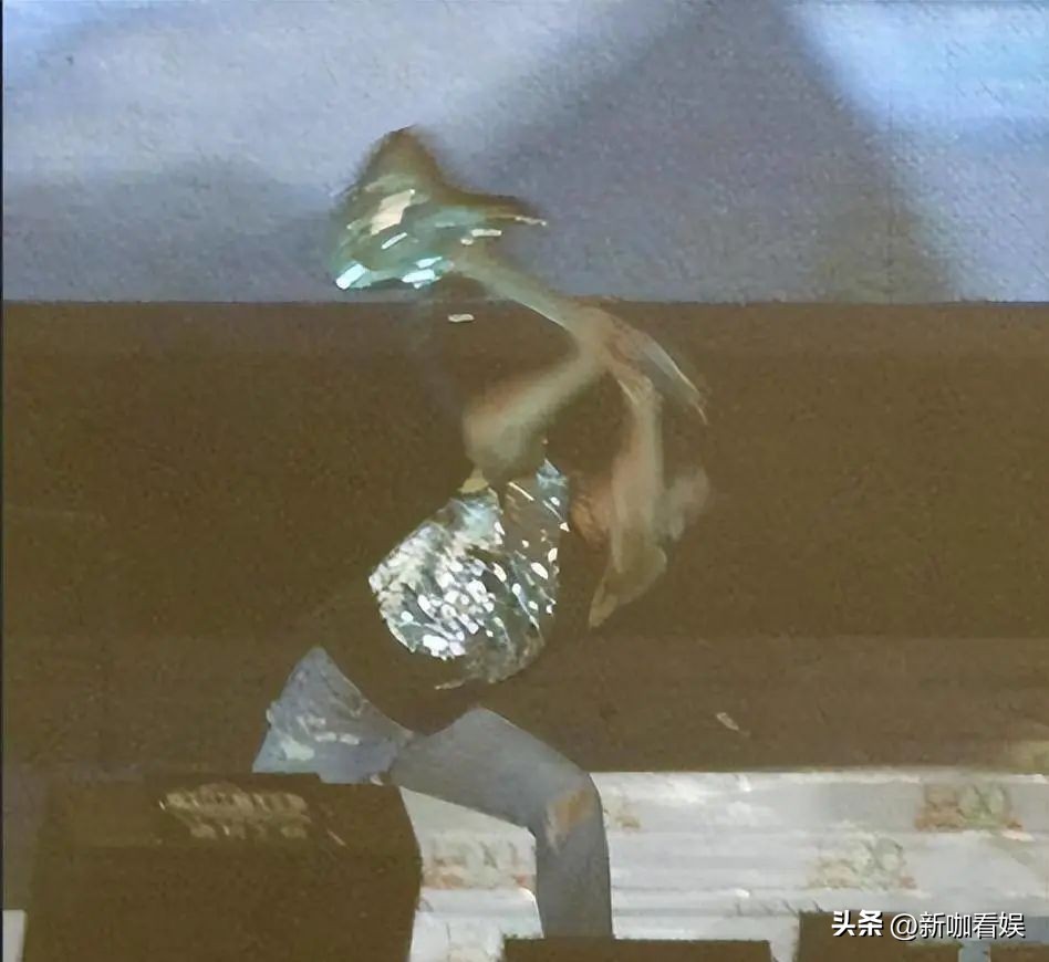 Faye Wong and Nicholas Tse: They threw their children to their exes to raise them, and they only ...