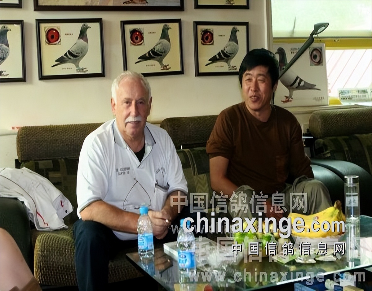 Crane "Lightning Hero" family - a gray lightning in the pigeon world in ...