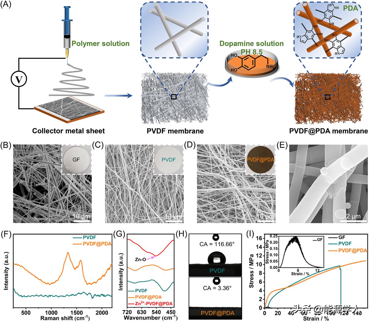 InfoMat: Functionalized separator realizes dendrite-free zinc anode via ...