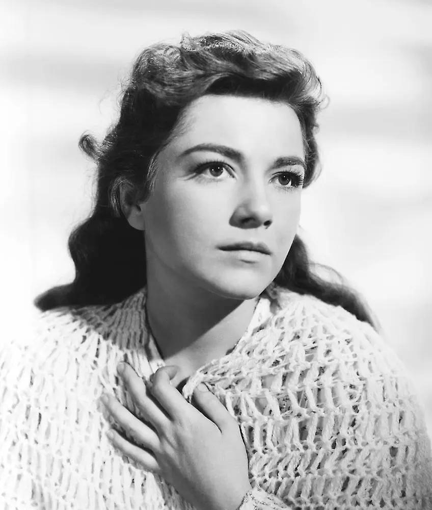 The movie "Splendid Life": Cherish the rare love and peace, there will ...