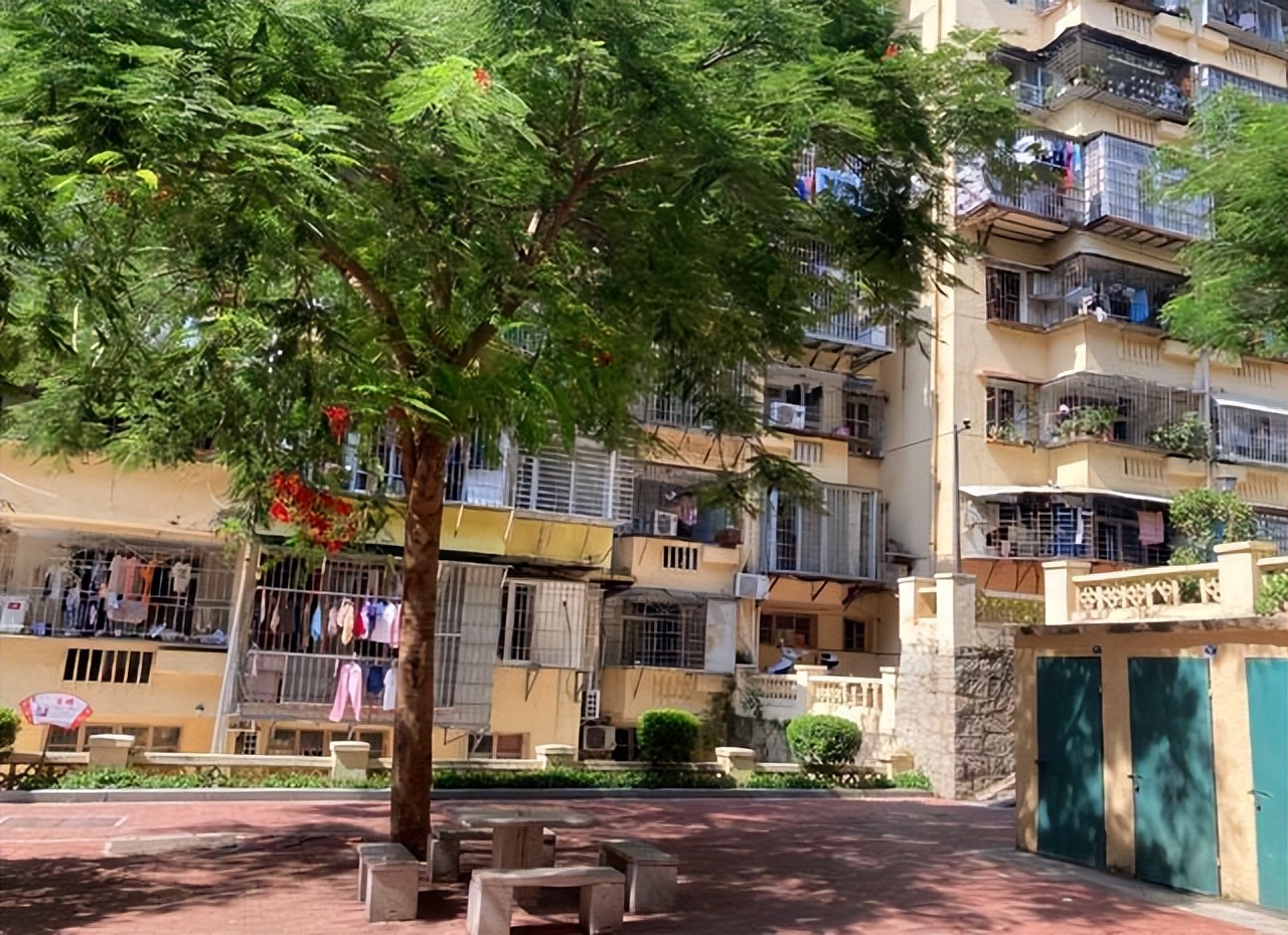 "In the Name of Family" Haichao Noodle Restaurant is on fire, fans don ...