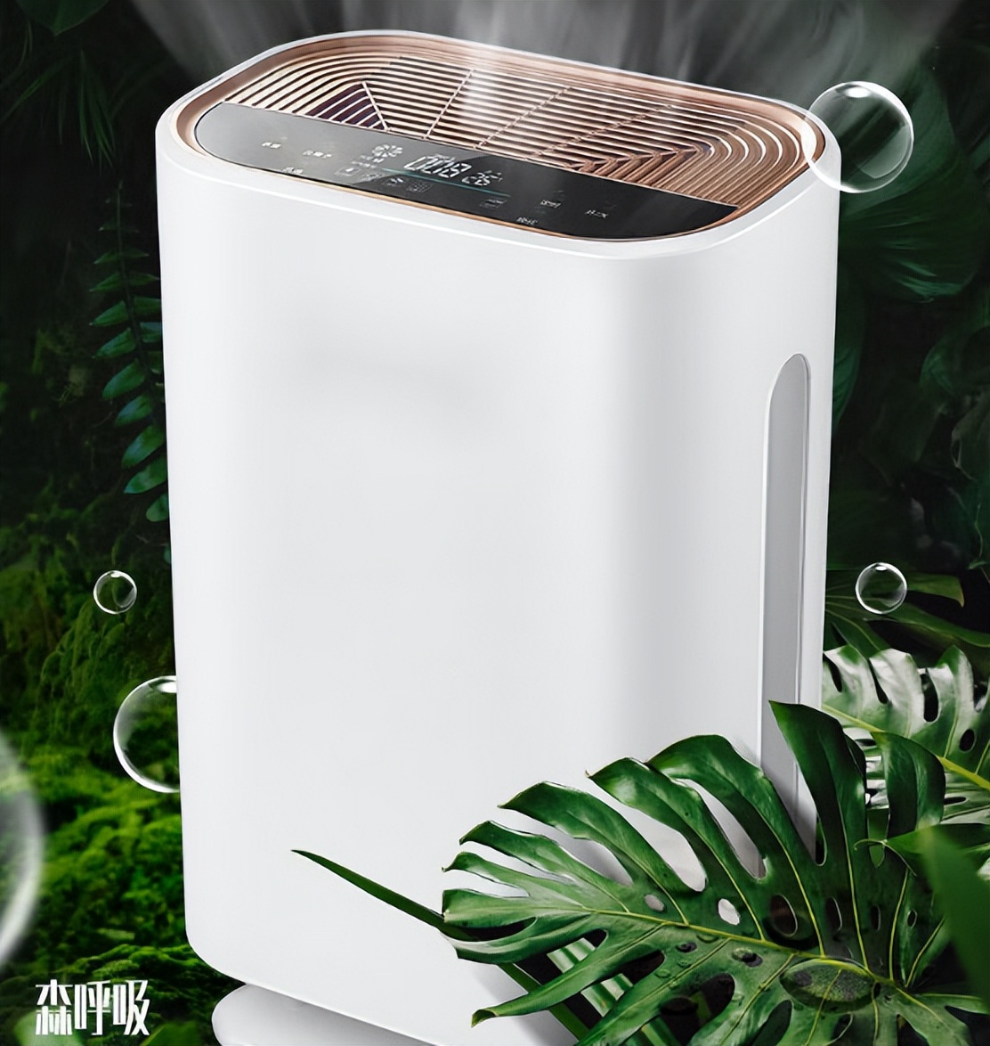 Top ten air purifiers that are easy to use - iNEWS