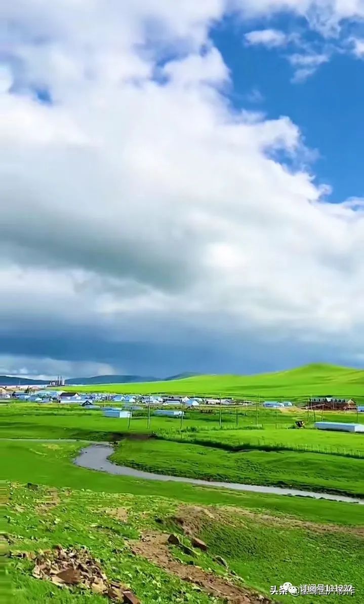 In 2022, the twentieth issue of the Green Ting Literary Society will be ...