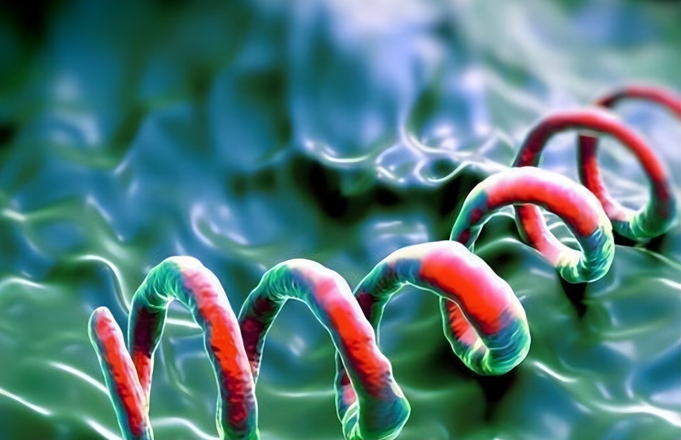 How many of the 4 "sexually transmitted" diseases do you know ...