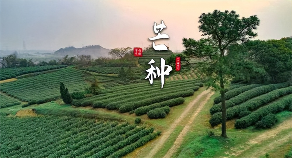 China's first large-scale original 24-act folk performance "Twenty-Four ...