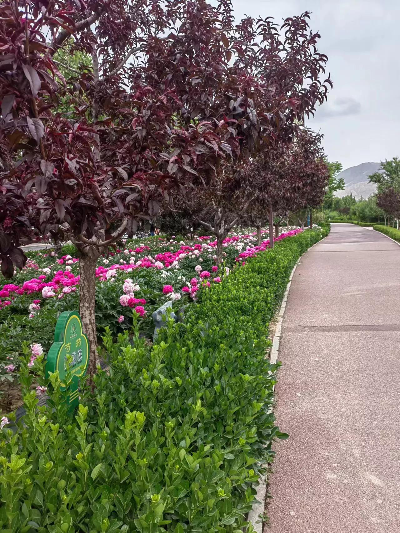The most beautiful Liujiaxia: a holy place for tourists in the ocean of ...
