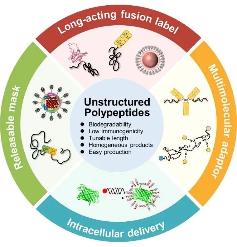 China Pharmaceutical University Gao Xiangdong/Yin Jun team made a ...
