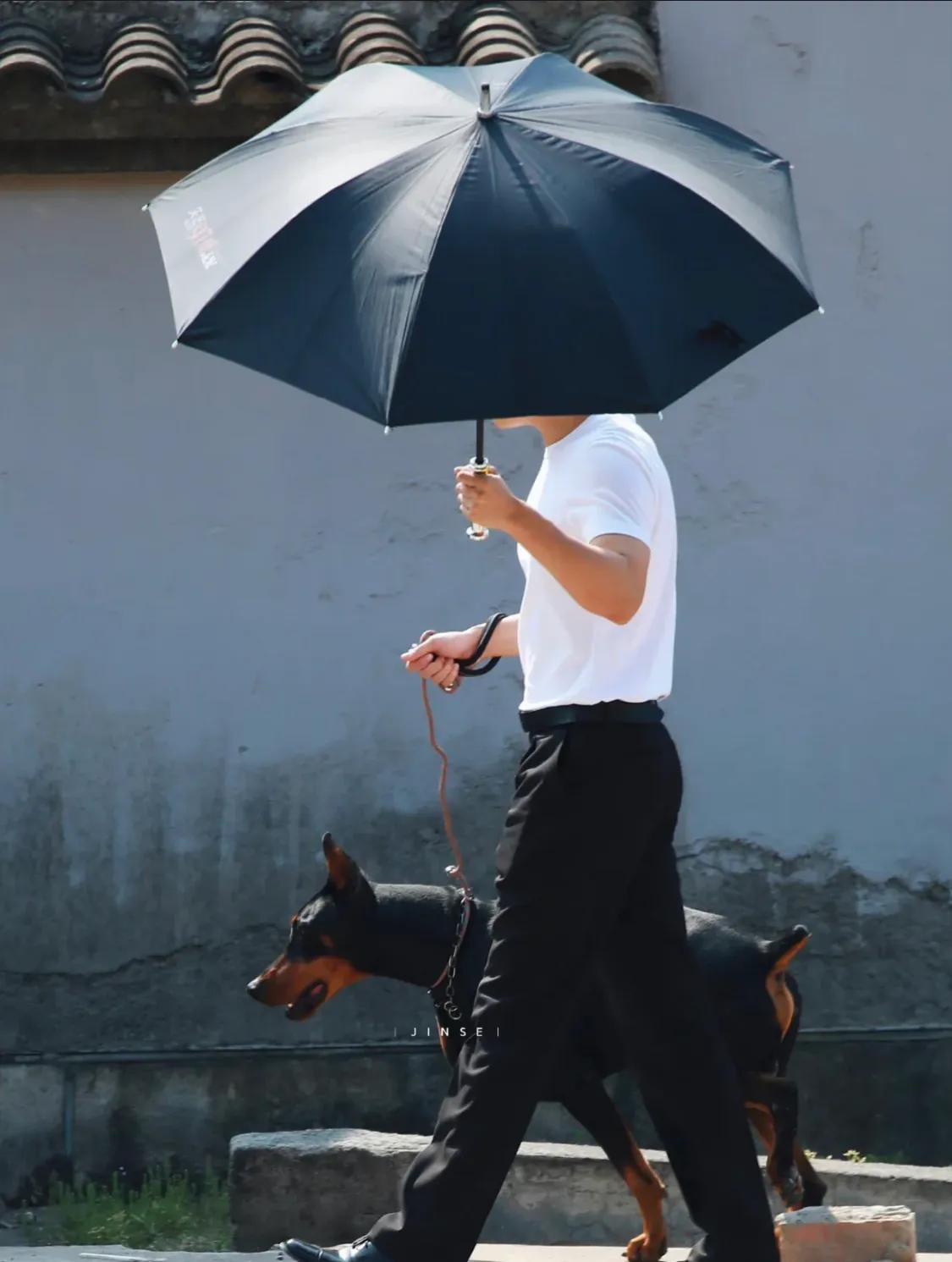 President Huang Jingyu and his dog - iNEWS