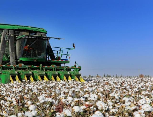 China needs to import 2 million tons of cotton every year, but exports ...
