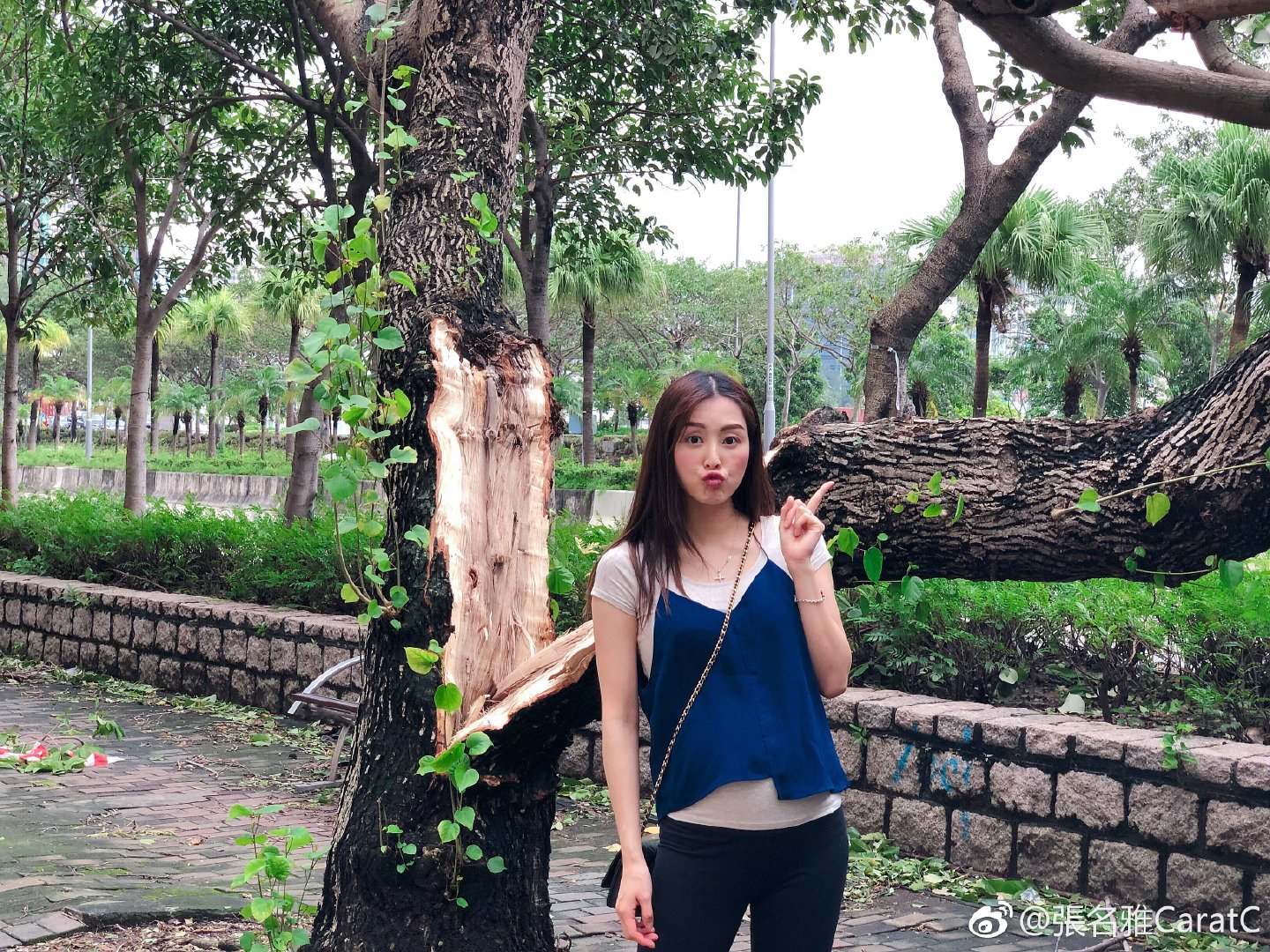 Another go!TVB's most controversial Hong Kong sister champion leaves ...