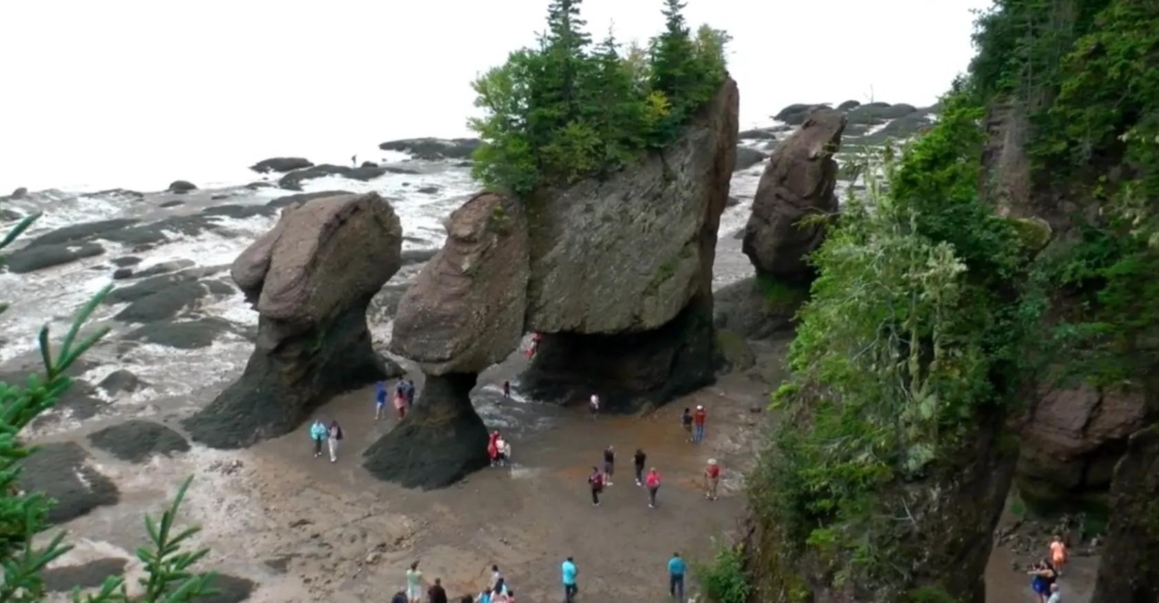 The Bay of Fundy - the place with the highest tidal range in the world ...