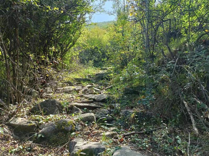Visit Yangcheng Jiaoping Ancient Road to experience the millennium ...