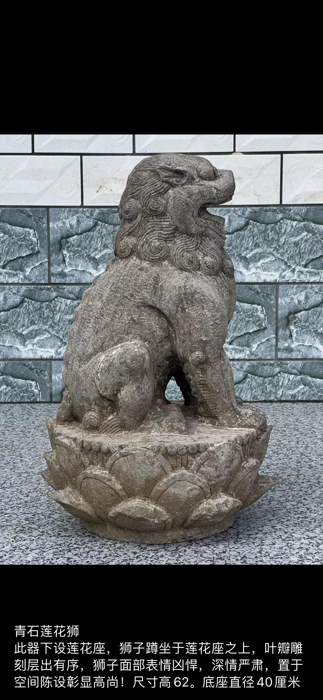 Bluestone Lotus Lion - iNEWS