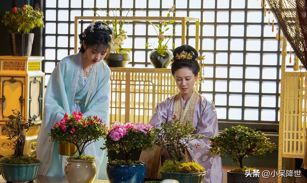 The popularity of "Qingqing Daily" broke through 9500. How did Bai ...