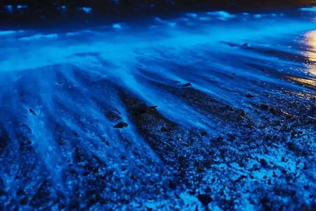 What exactly is the explosive "blue tear"? Shocking scene at the touch ...